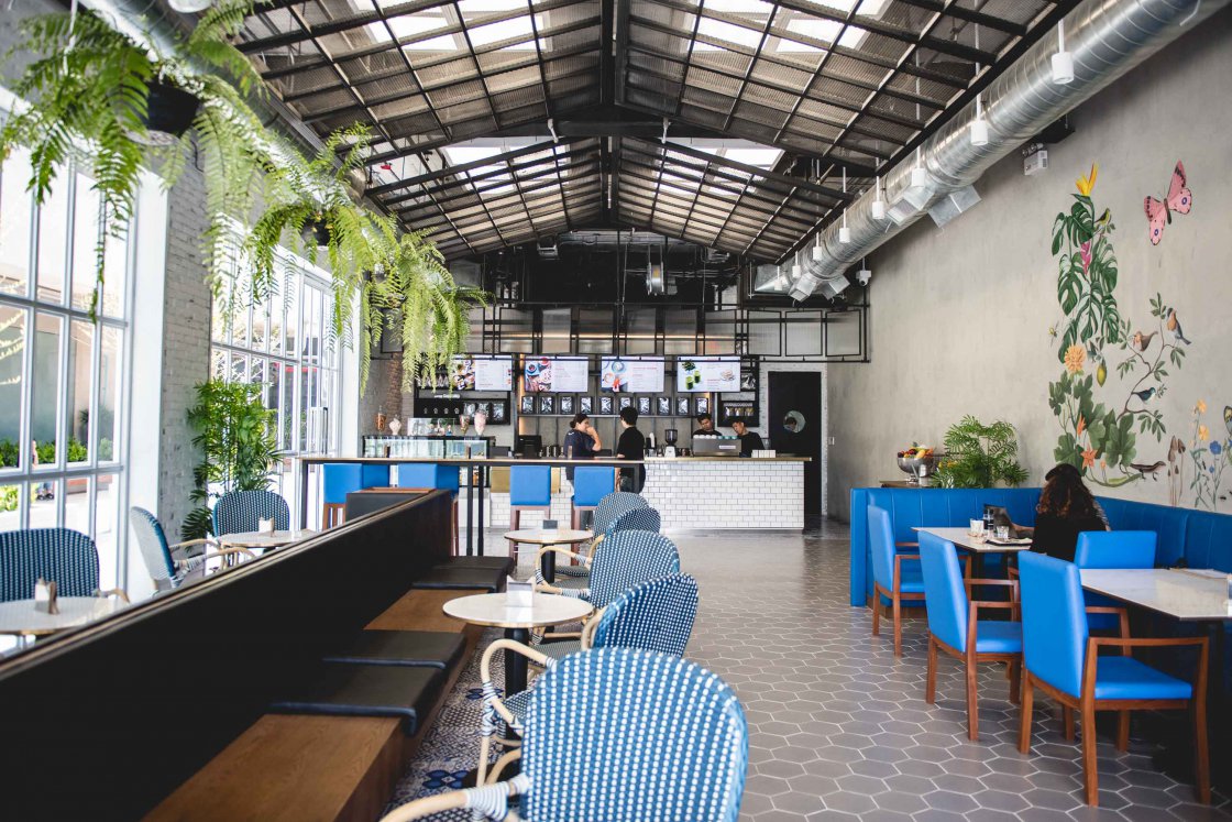 By Grace Cafe (พระราม 9) คาเฟ่ในคอนเซ็ปต์ของแกลเลอรี่ส่งตรงมาจากเกาหลี ...